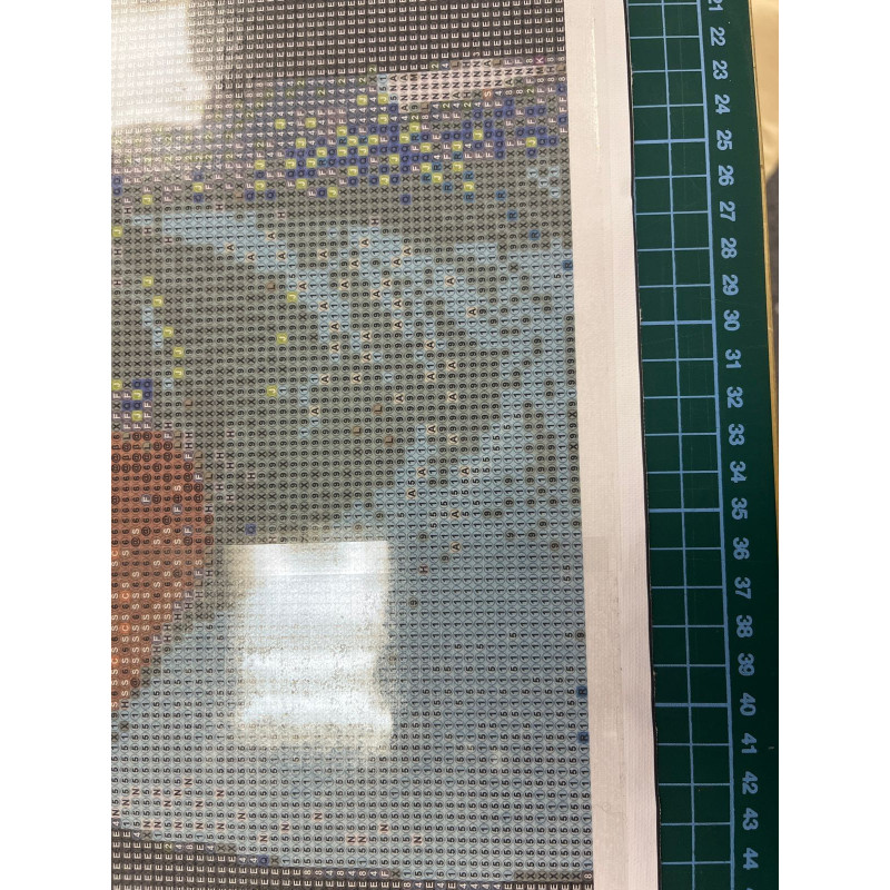 Clear Plastic cover for you Painting