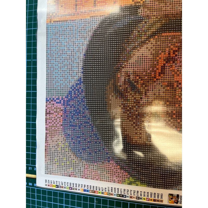 Clear Plastic cover for you Painting